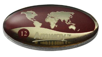 Awards and Rewards – Amway MSB