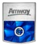Awards and Rewards – Amway MSB