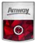 Awards and Rewards – Amway MSB