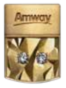 Awards and Rewards – Amway MSB