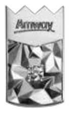 Awards and Rewards – Amway MSB