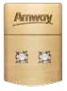 Awards and Rewards – Amway MSB