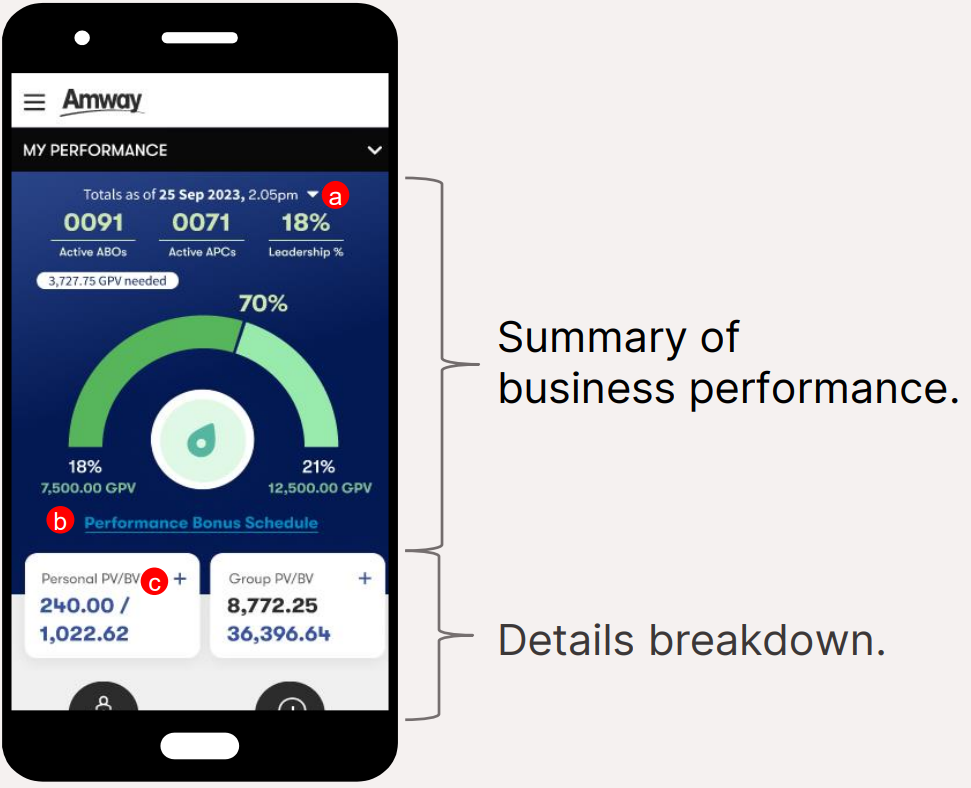 Where can I check my business performance? – Amway MSB