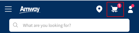 How to Place an Online Order – Amway MSB