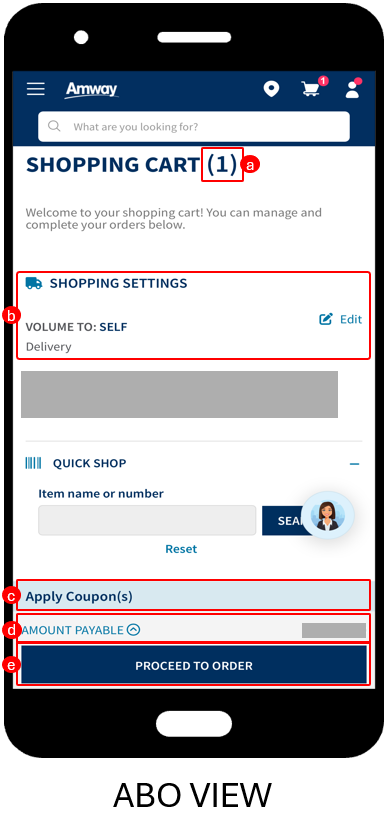 How to Place an Online Order – Amway MSB